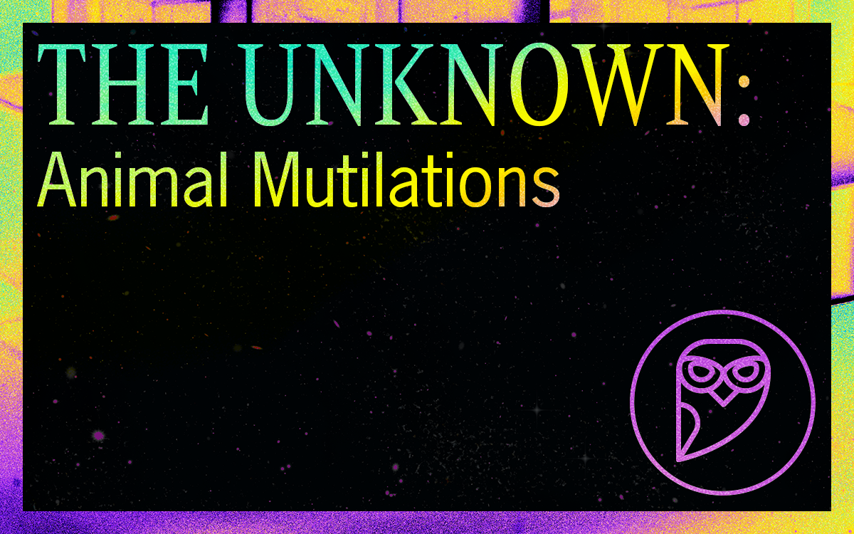THE UNKNOWN: Animal Mutilations | So Supernatural Podcast